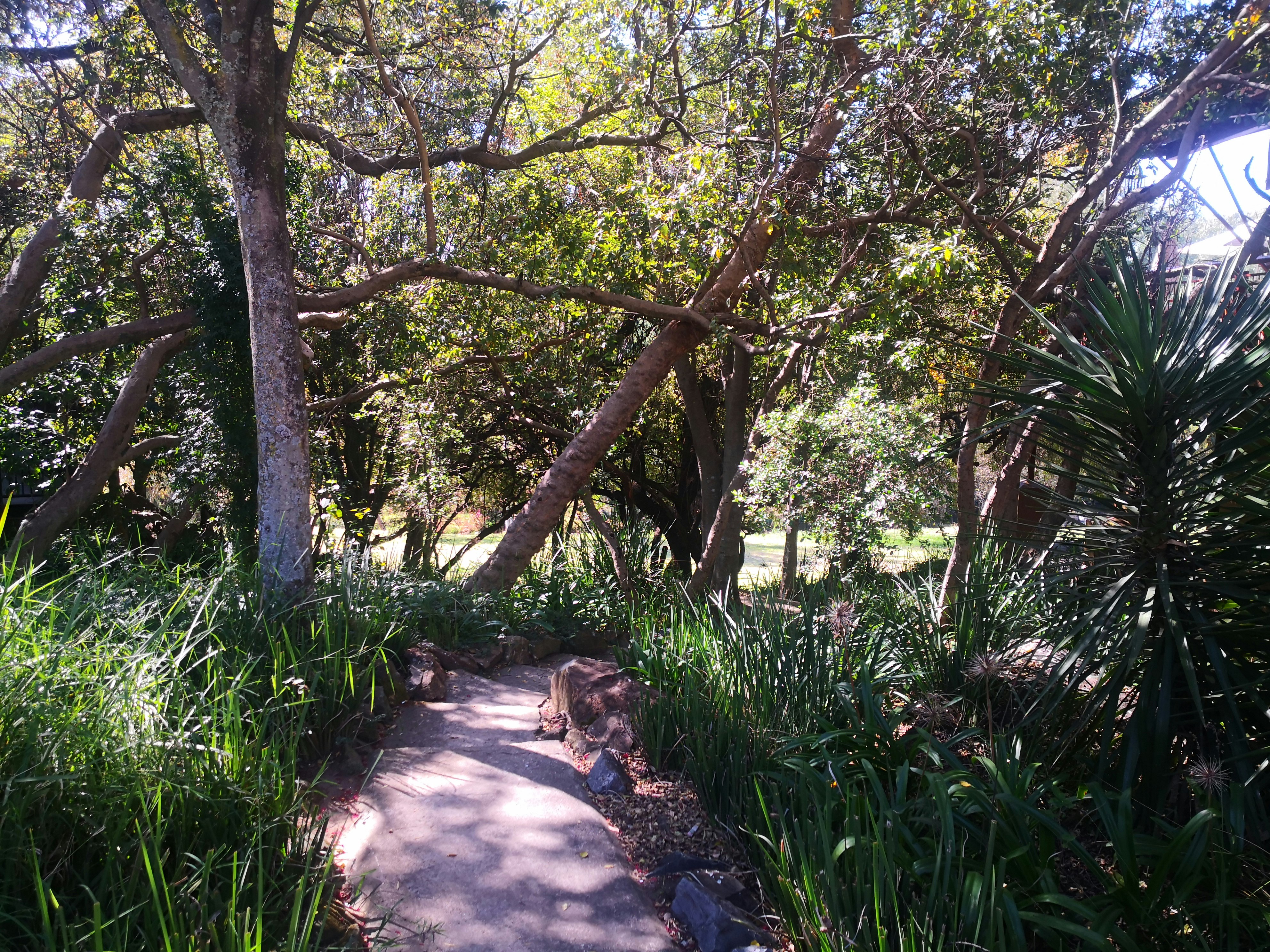 Riverstone Lodge | LekkeSlaap