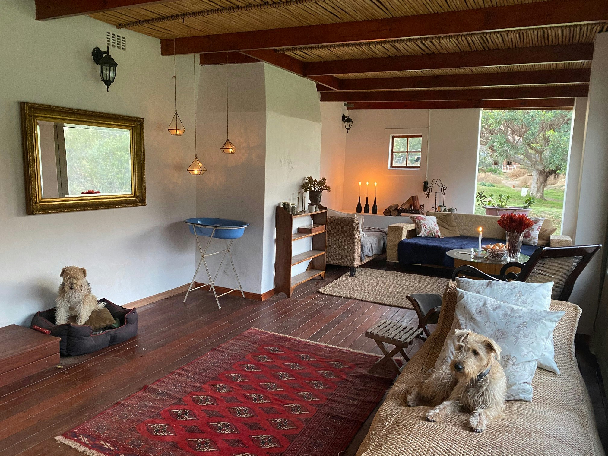 Alpaca Inn | LekkeSlaap