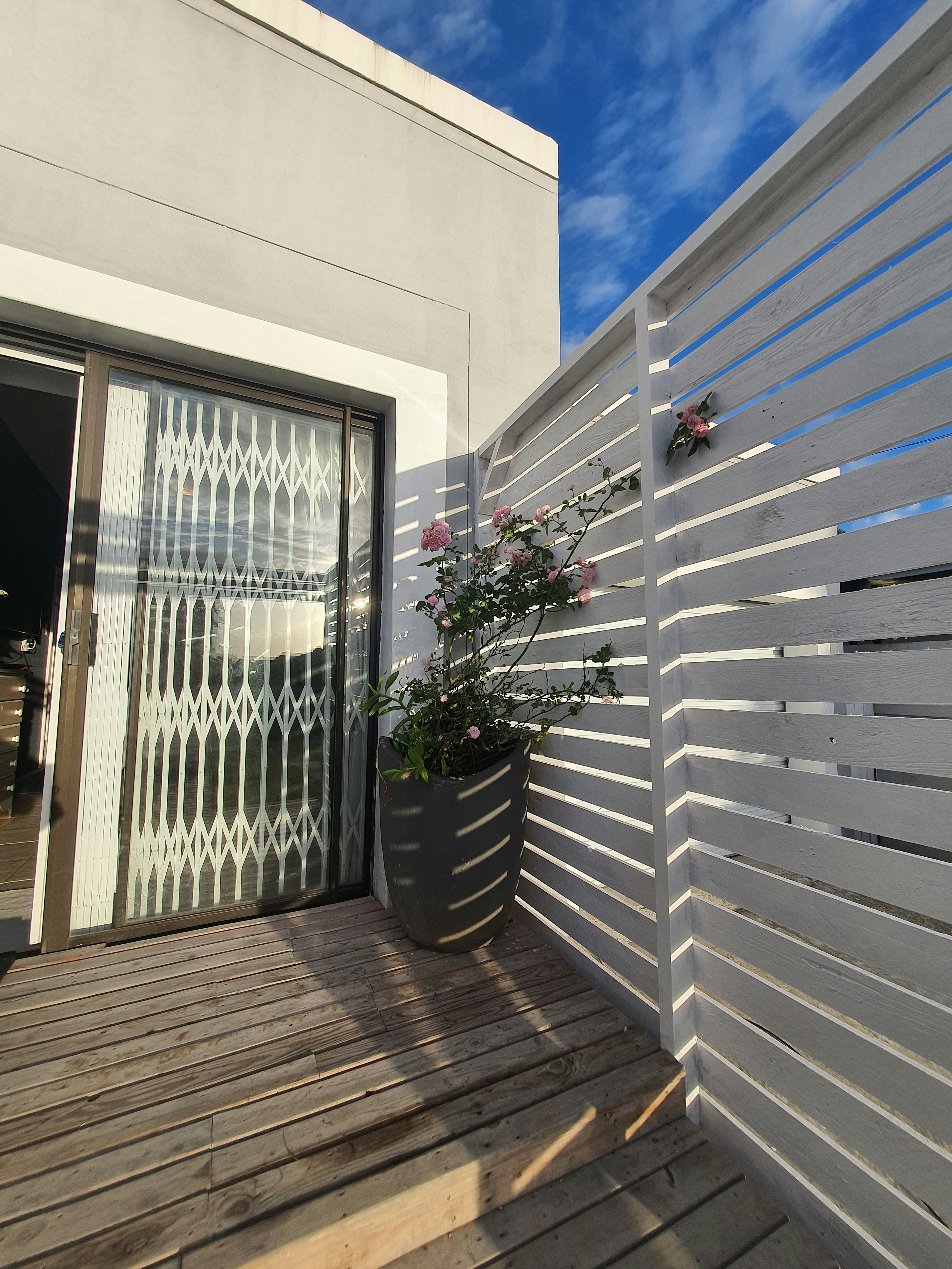 Java Finch Rest | LekkeSlaap