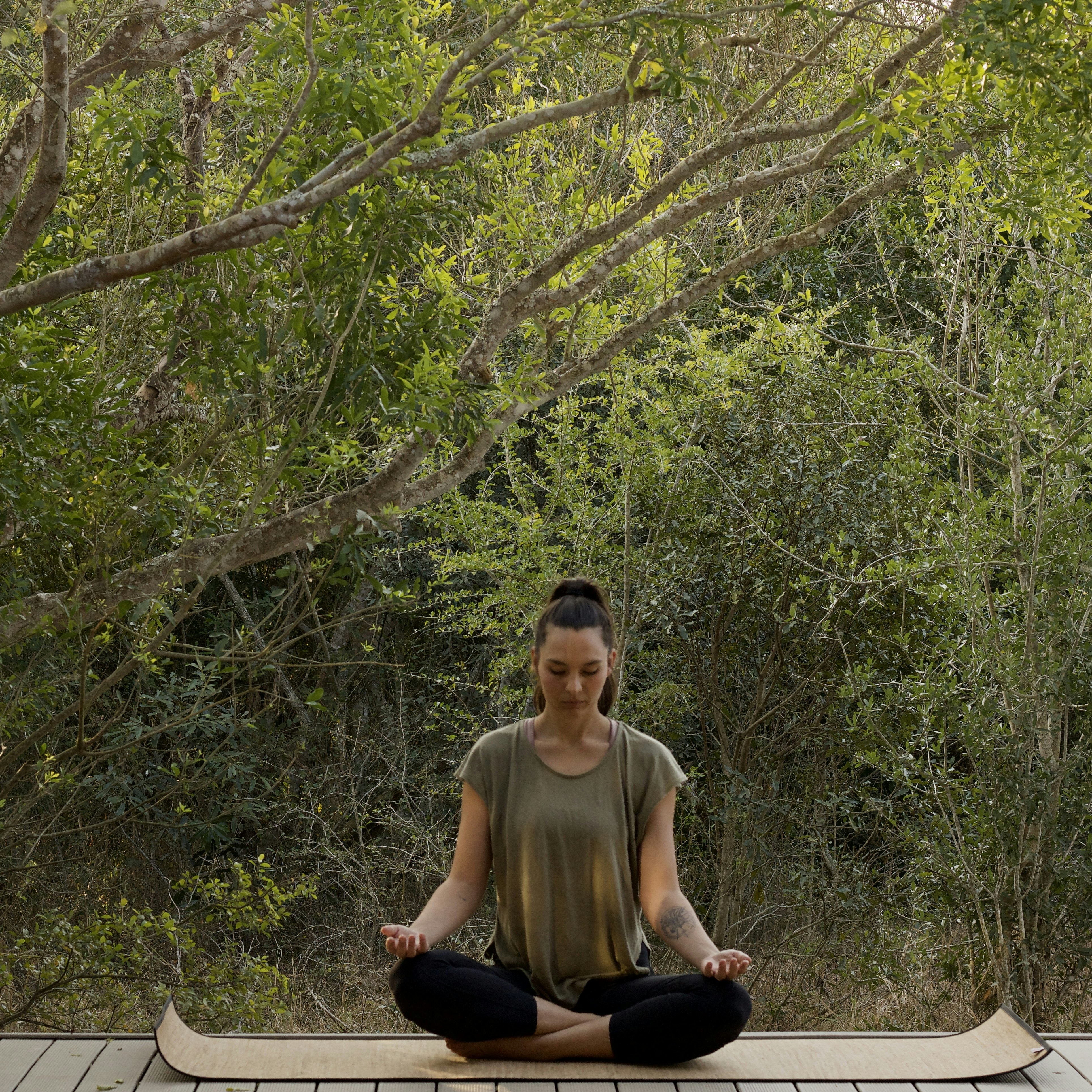 Bushwillow Collection | LekkeSlaap