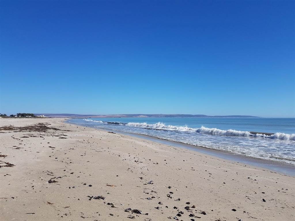 Pikkewyn | LekkeSlaap