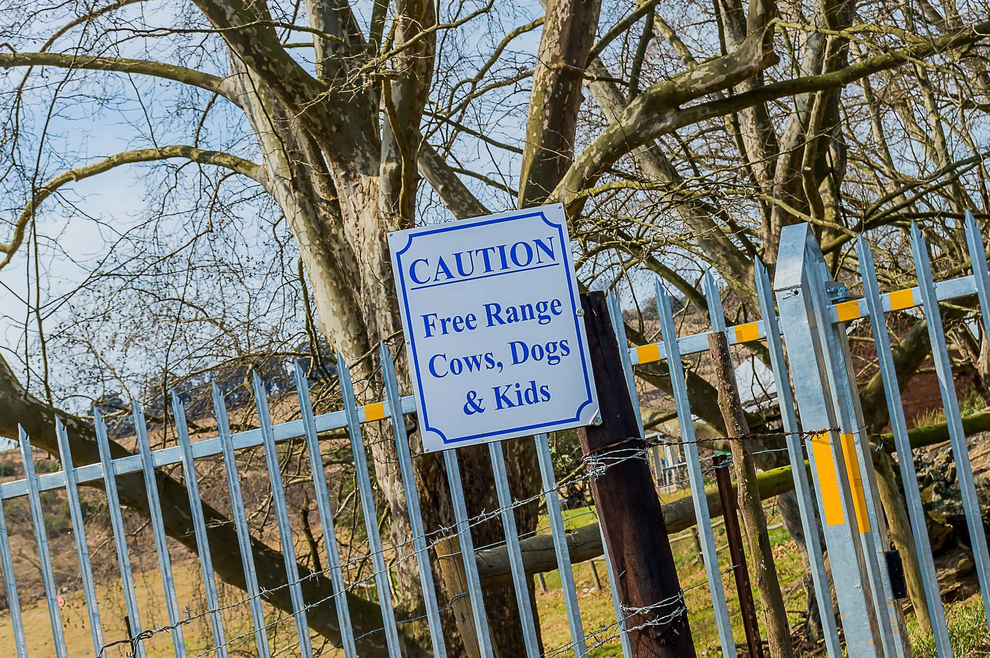 Springvale Farm Cottages | LekkeSlaap