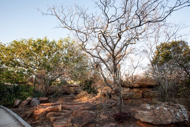 Windmills Rest | LekkeSlaap