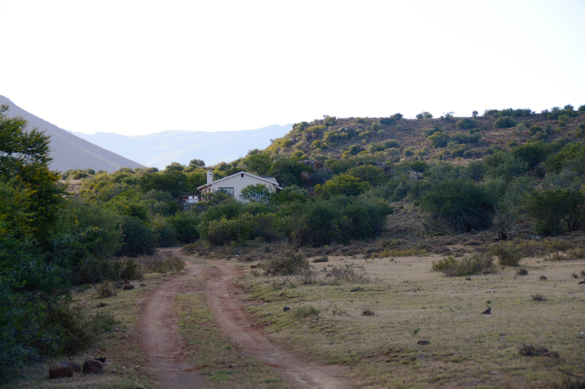 Vrede Fountain House Farm Stay | LekkeSlaap