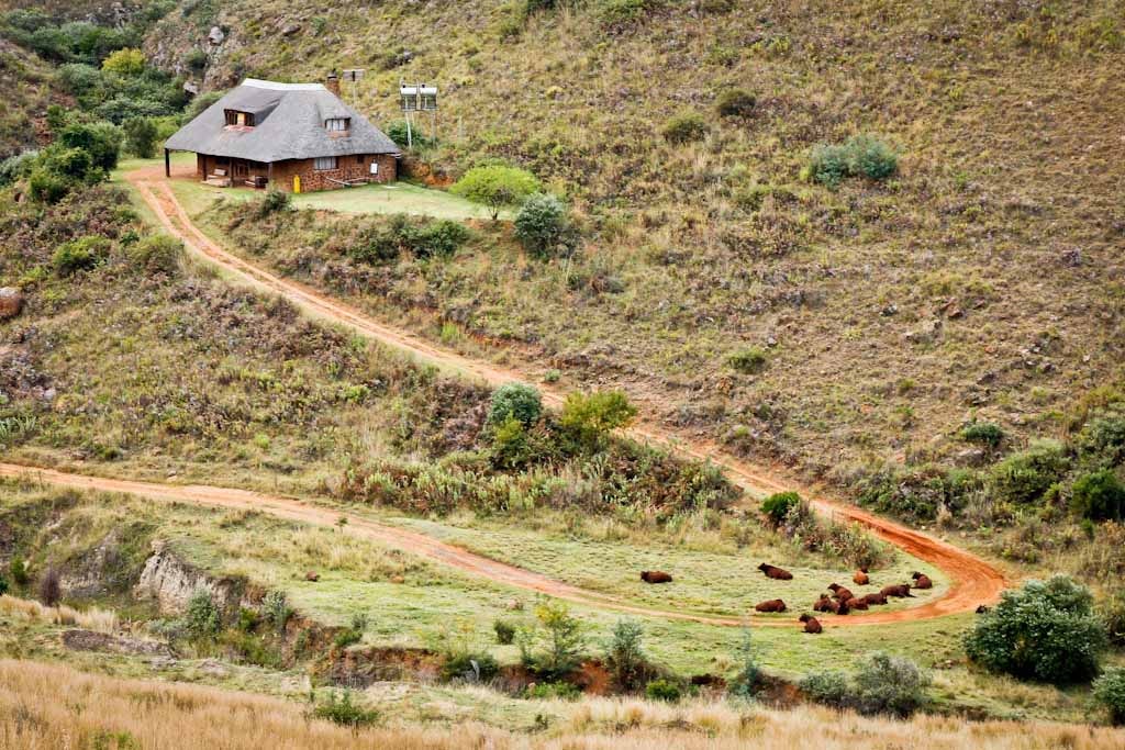 Ribbokkloof Holiday Farm | LekkeSlaap