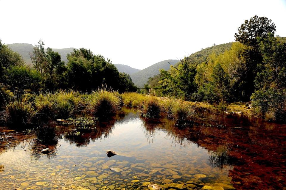 Bergrivier Eastern Cape | LekkeSlaap