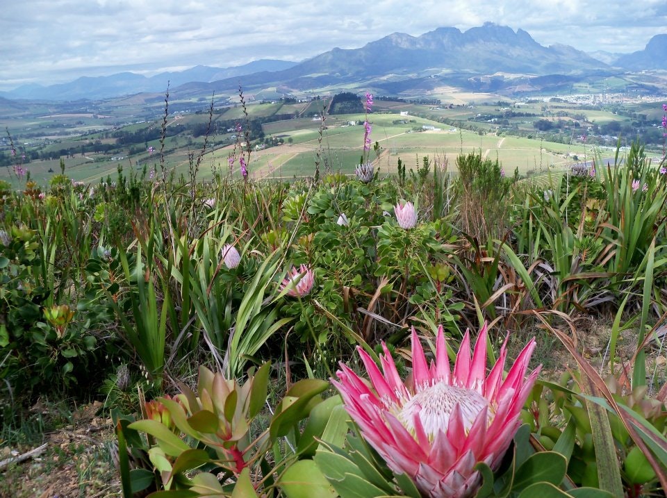 The Devon Valley Hotel | LekkeSlaap