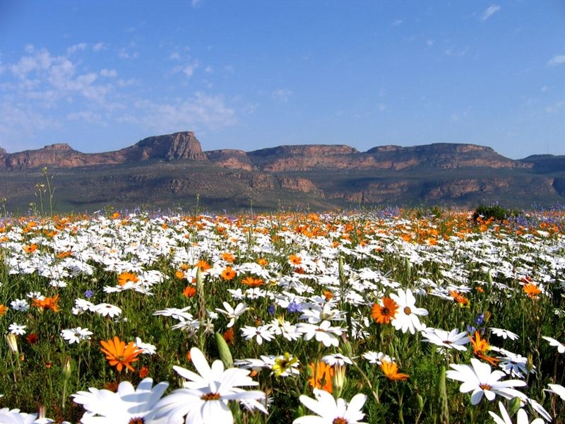 Maskam Guest Farm | LekkeSlaap