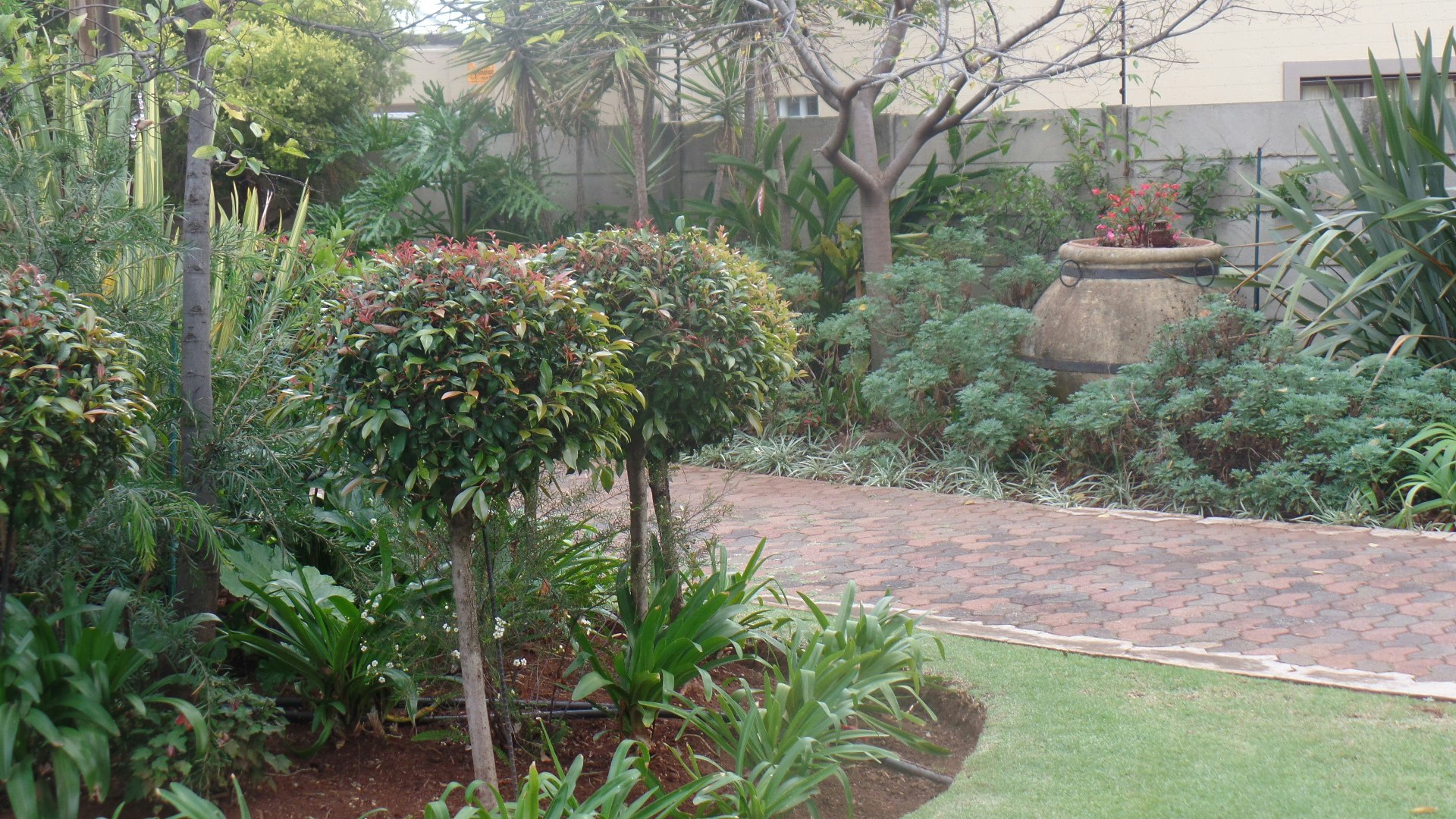 Accommodation near UNISA Florida Campus | LekkeSlaap