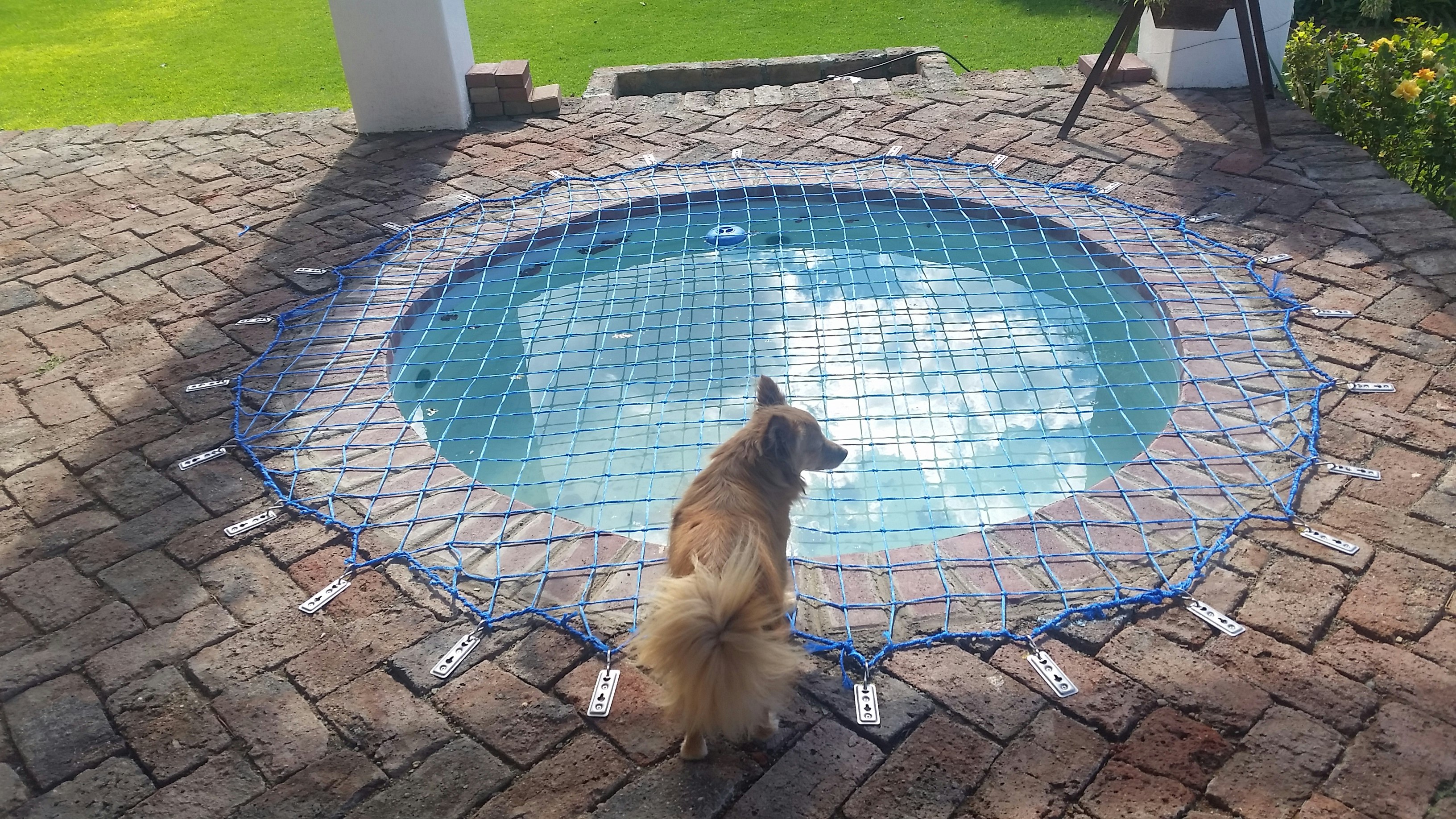 Die Pophuis Hoekie | Rooms