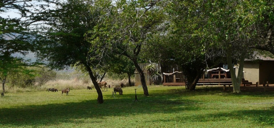 Nkonkoni Fishing Camp | LekkeSlaap