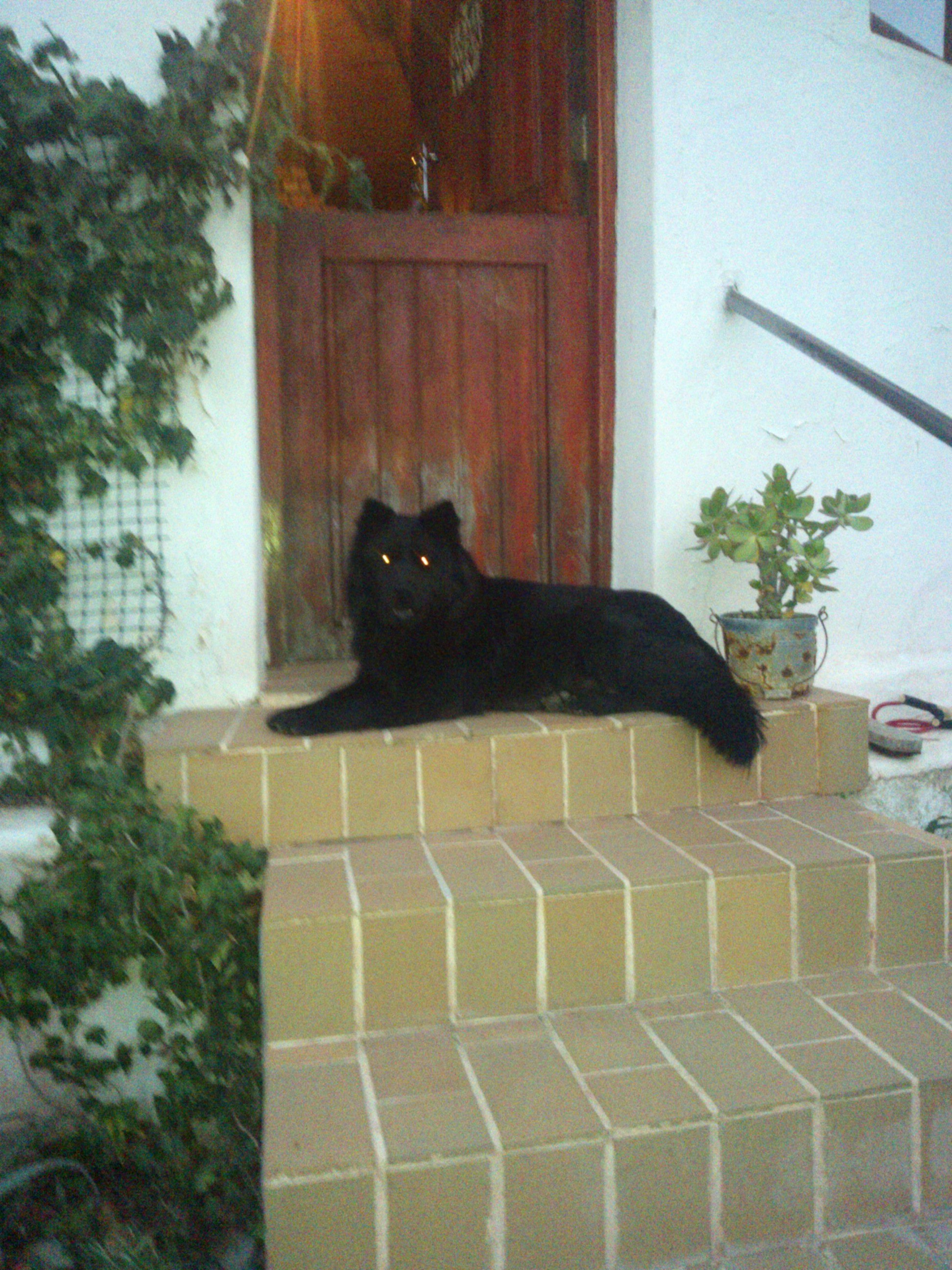 Arendsnest | LekkeSlaap