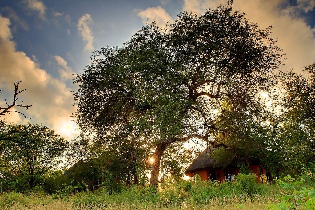 Motswari Private Game Reserve | TravelGround