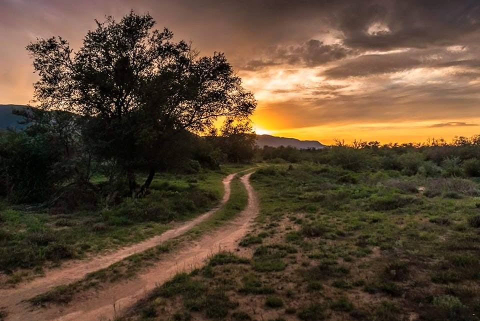 Bhejane Game Reserve | LekkeSlaap