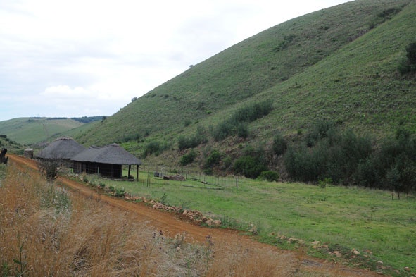 Ribbokkloof Holiday Farm | Rooms