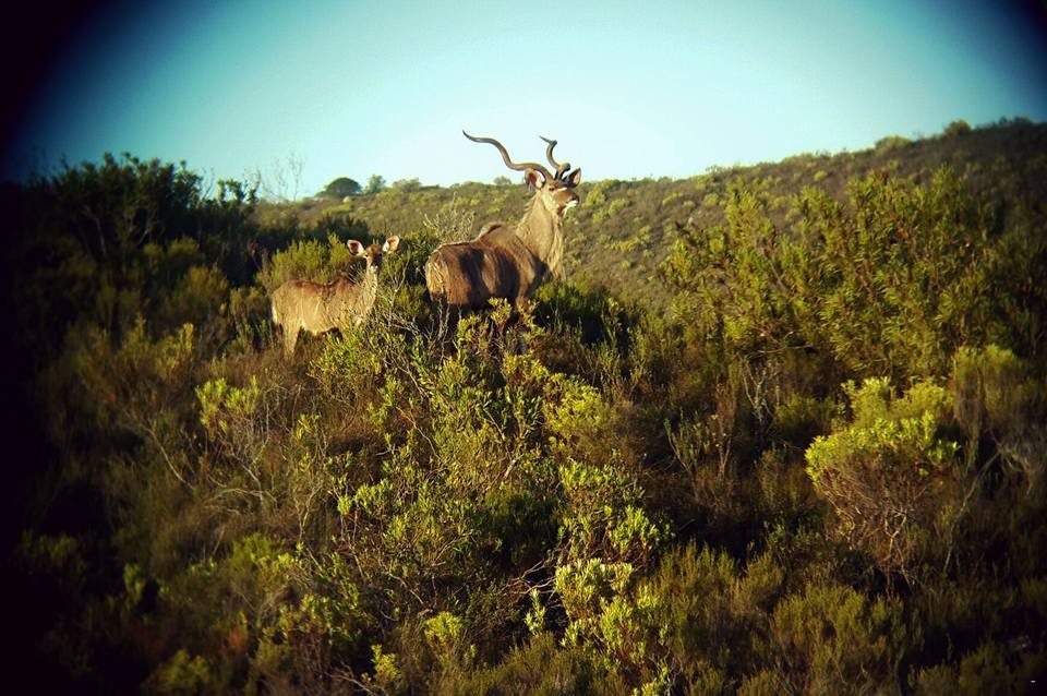 Pabala Private Nature Reserve | LekkeSlaap