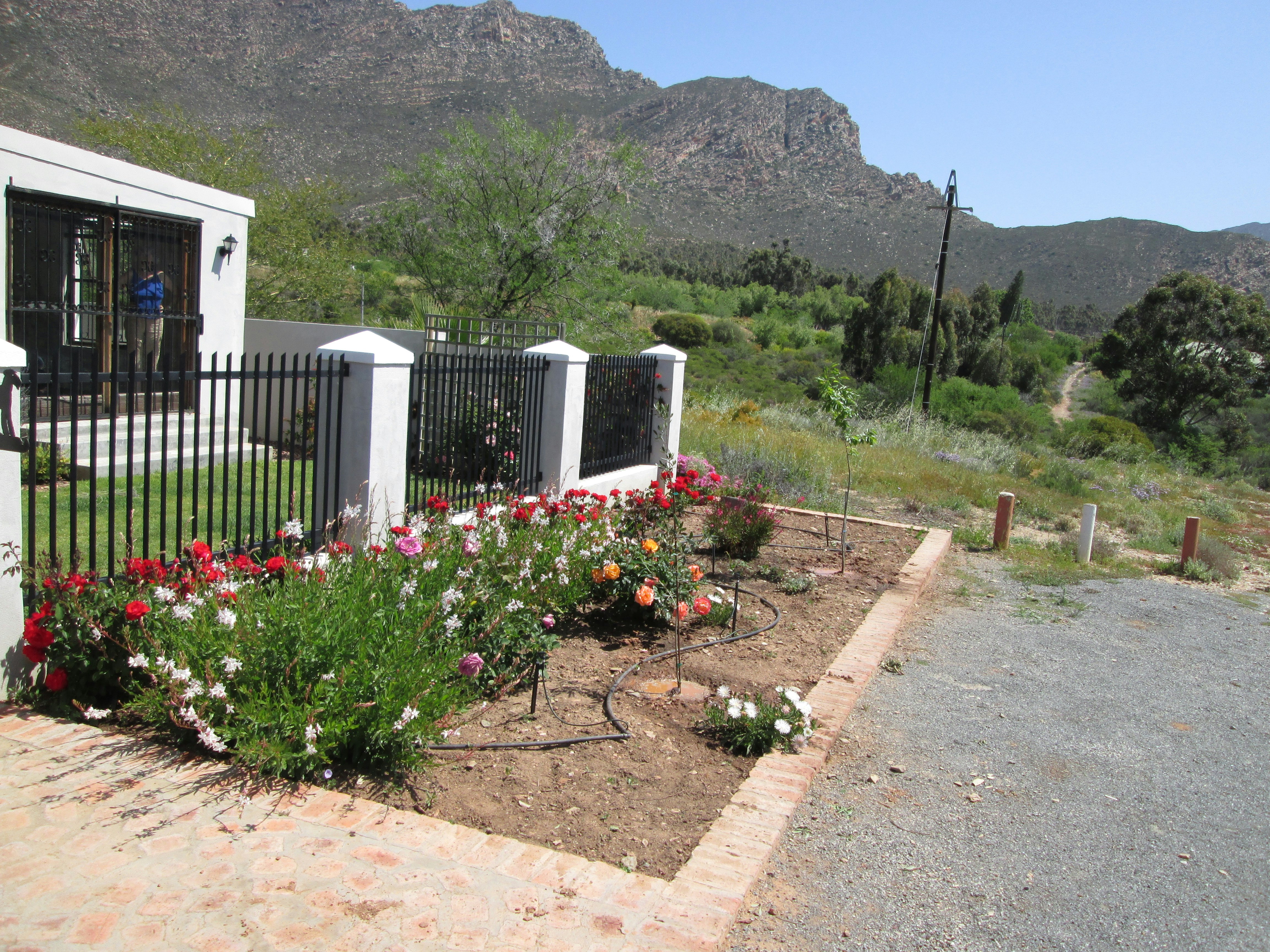 Peace Cottage | LekkeSlaap