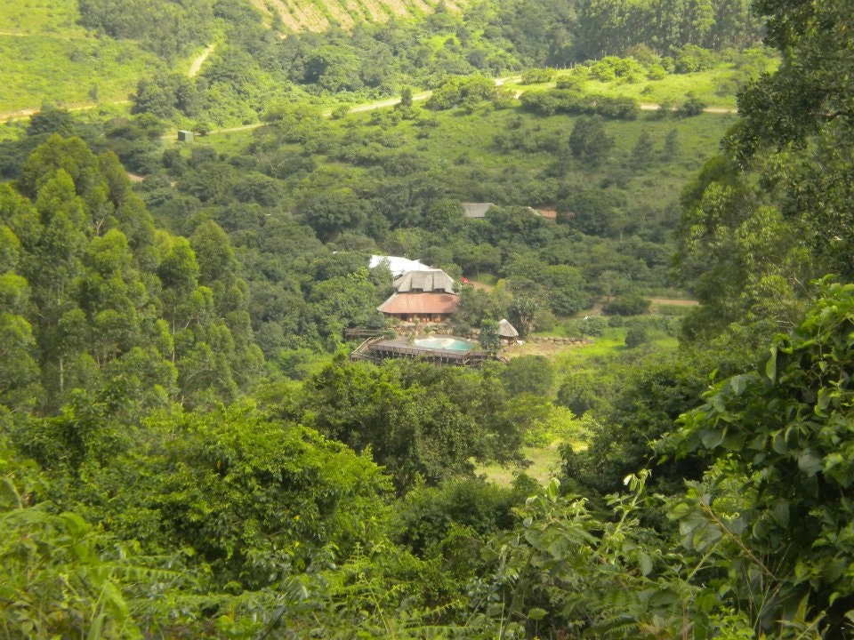 INsingizi Lodge | Rooms