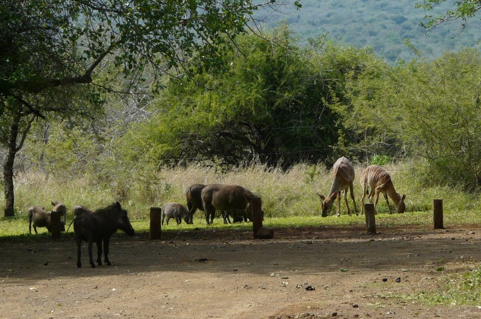 Nkonkoni Fishing Camp | LekkeSlaap