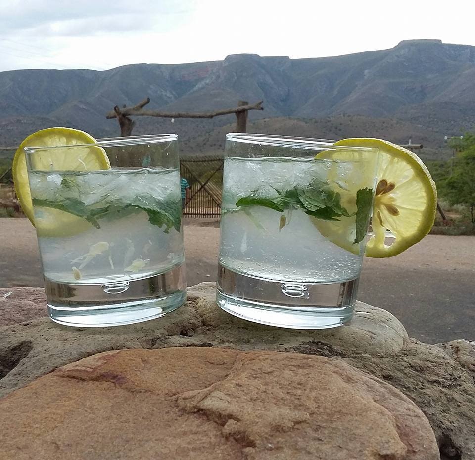 Bhejane Game Reserve | Rooms