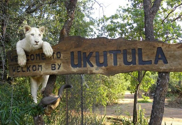 Ukutula Lodge and Game Reserve | LekkeSlaap