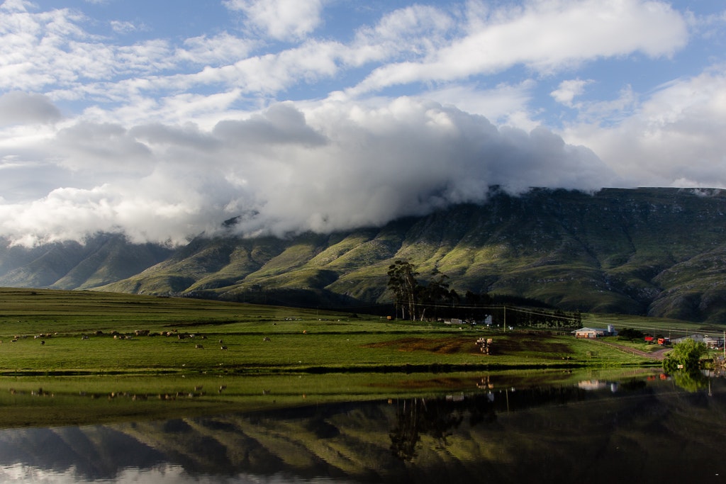 Appelsbosch Farm Cottage | LekkeSlaap