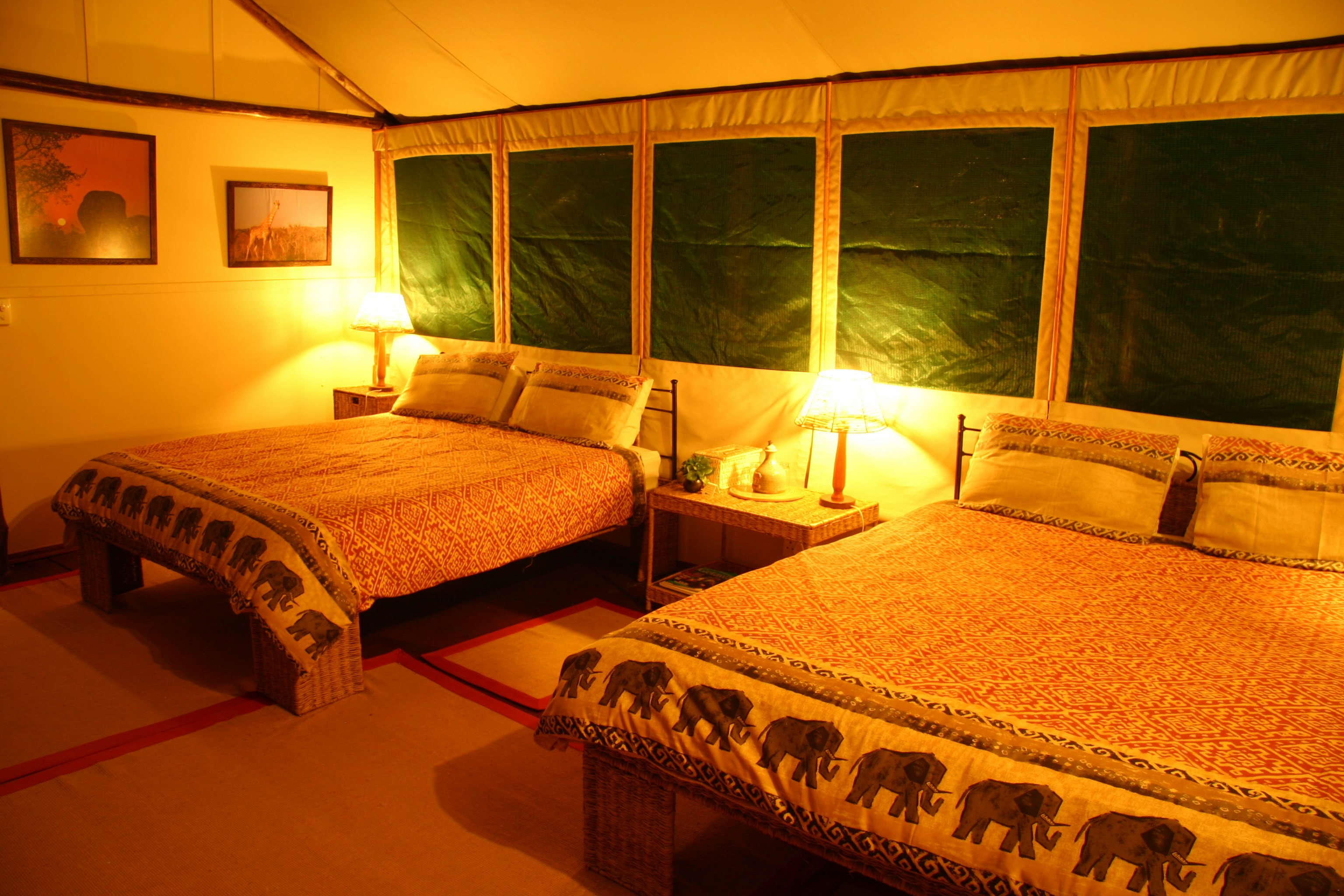 Tembe Elephant Park & Lodge | LekkeSlaap