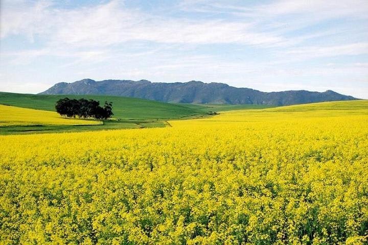 De Gunst Guest Farm | LekkeSlaap