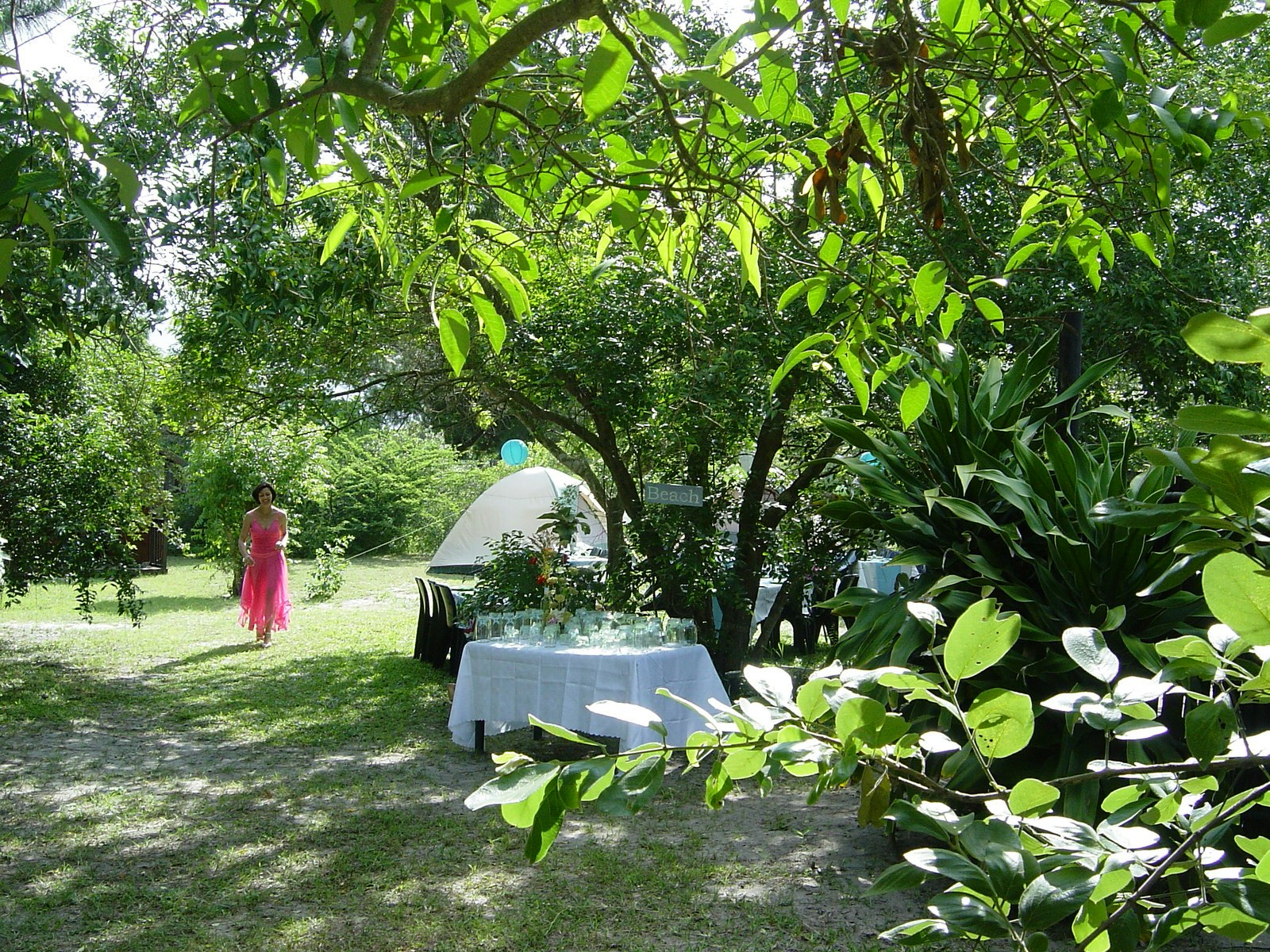 Toad Tree Cabins | LekkeSlaap
