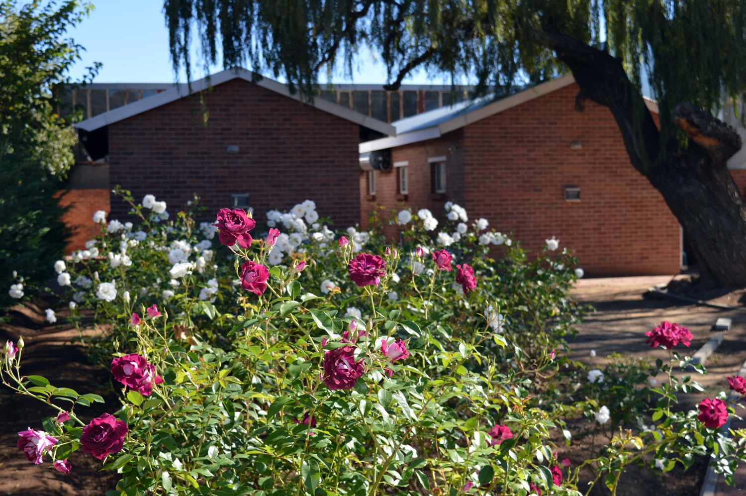 Village Lodge Harrismith | LekkeSlaap