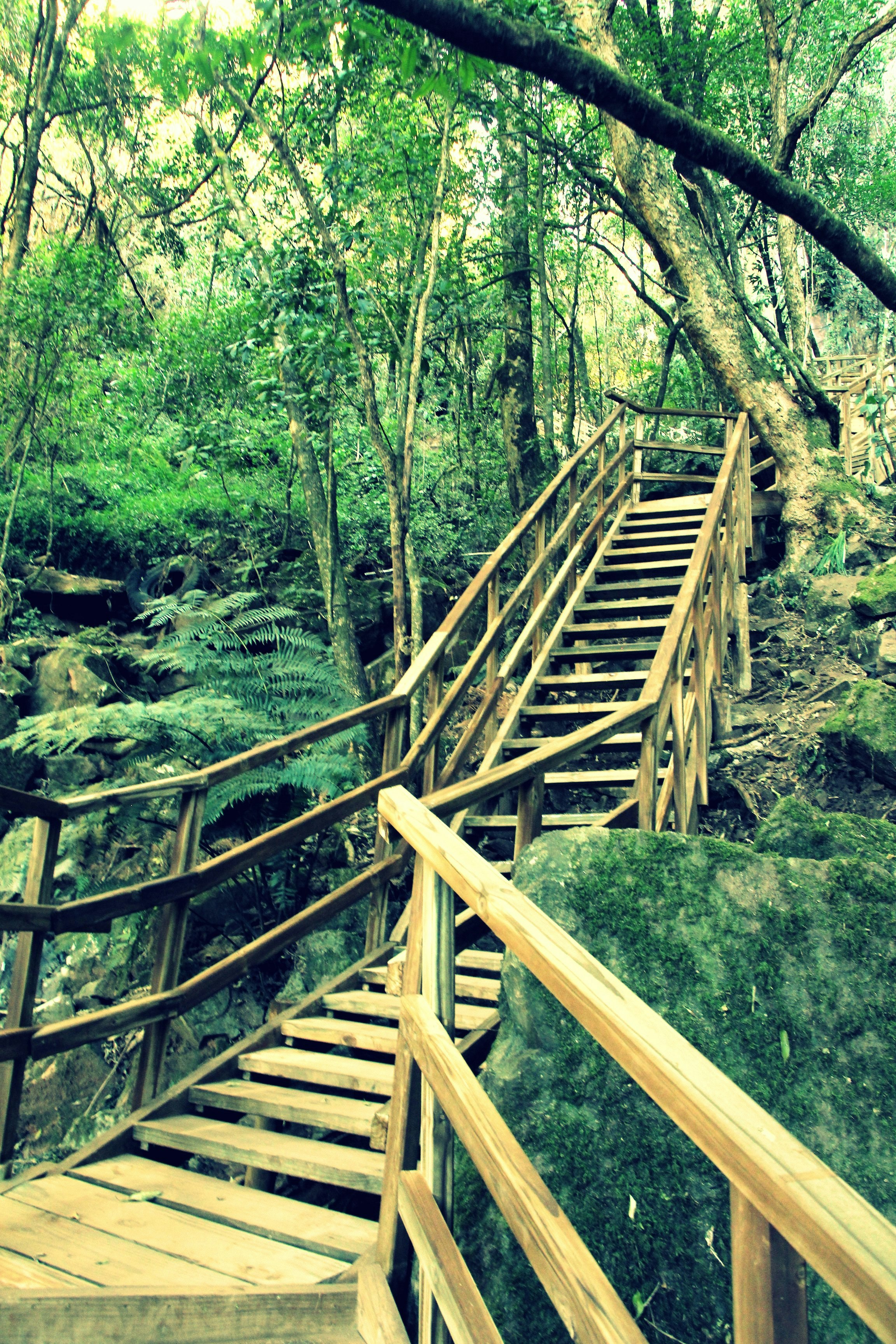 Mogodi Lodge | LekkeSlaap