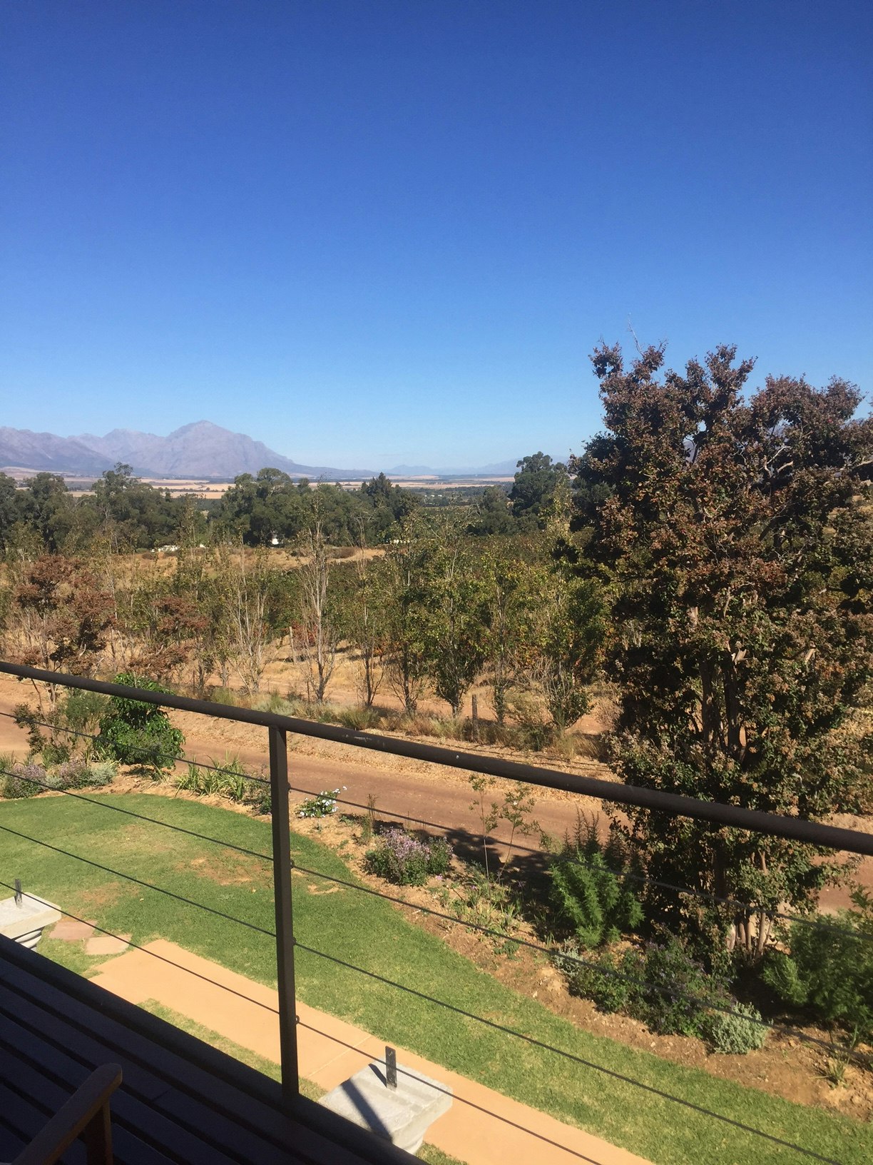 Raptor Rise Farm | Rooms