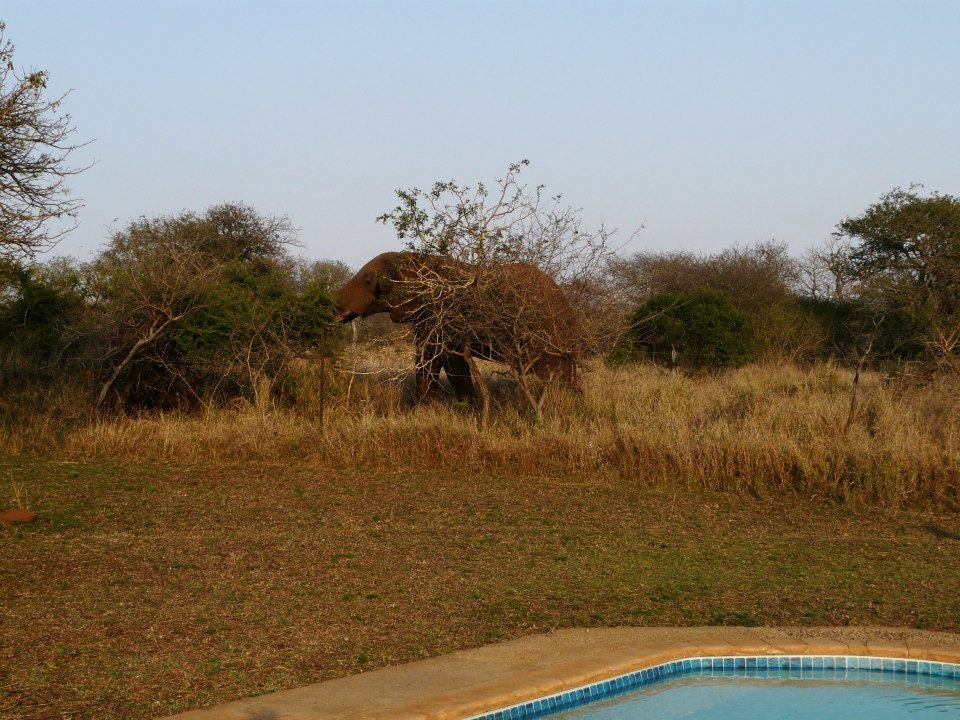 Nkonkoni Fishing Camp | LekkeSlaap