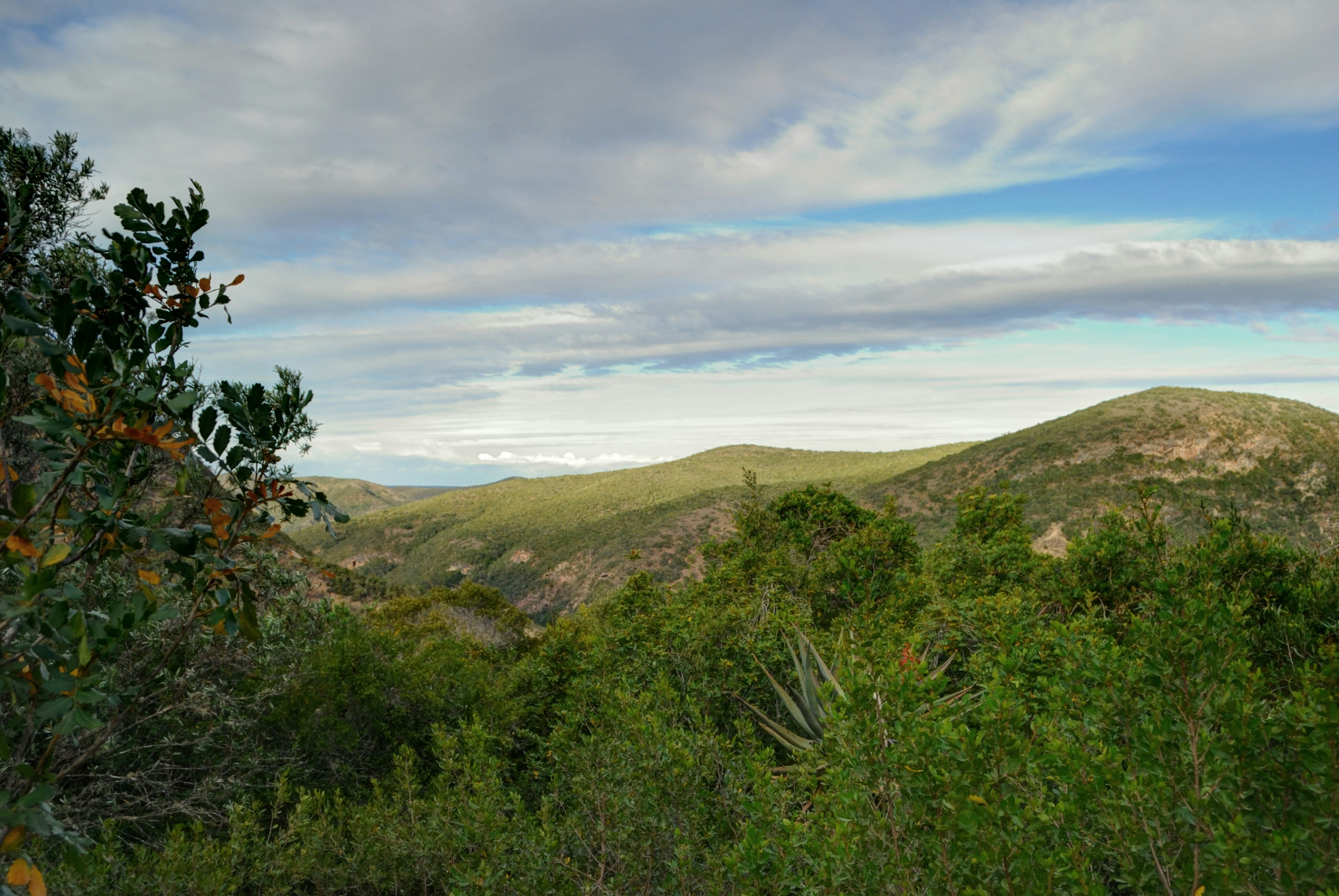 InniKloof | LekkeSlaap