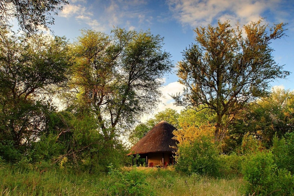 Motswari Private Game Reserve | TravelGround