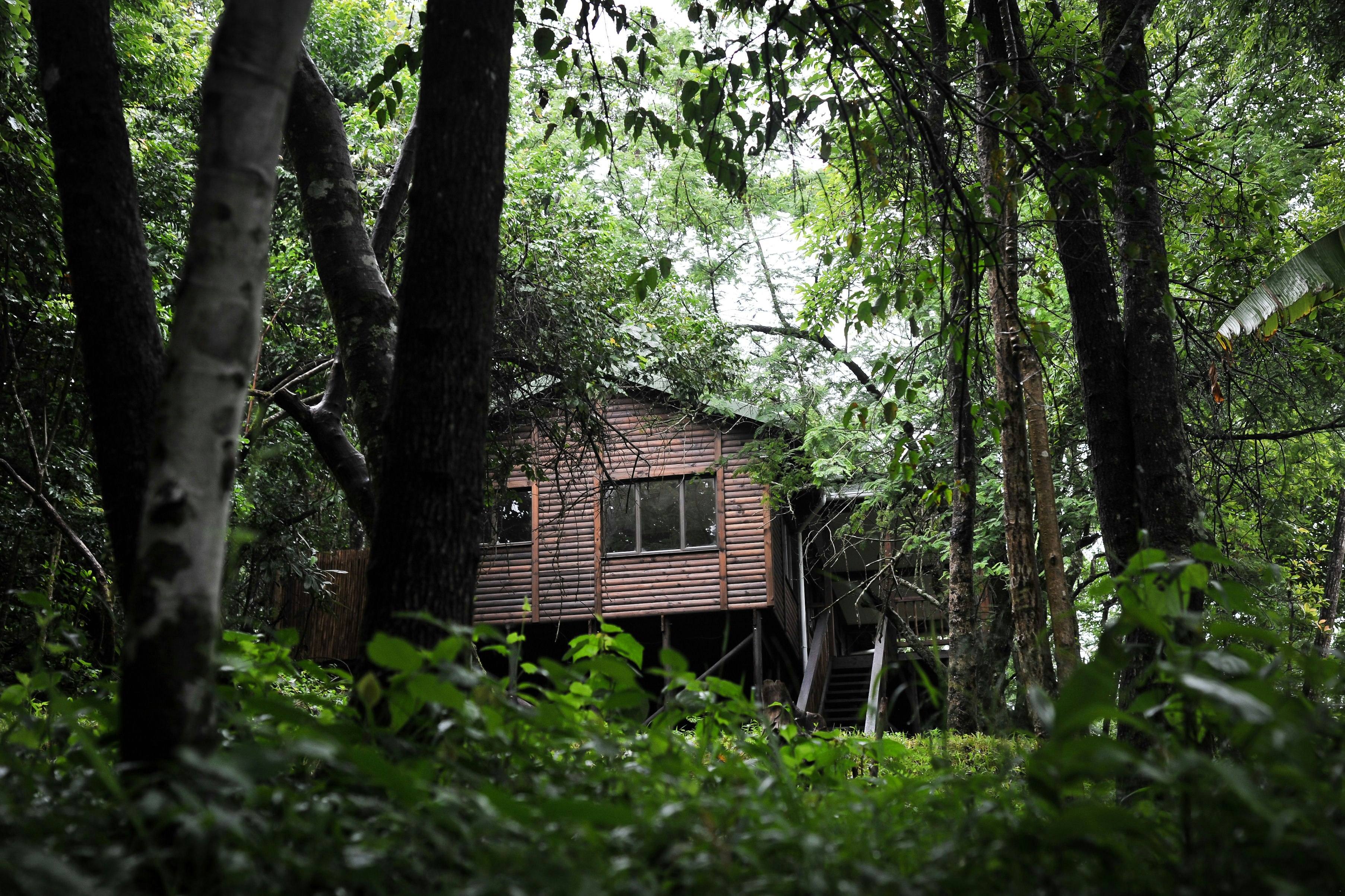 Forest Bird Lodge | LekkeSlaap