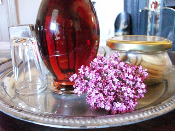 Skitterland Gastehuis | LekkeSlaap