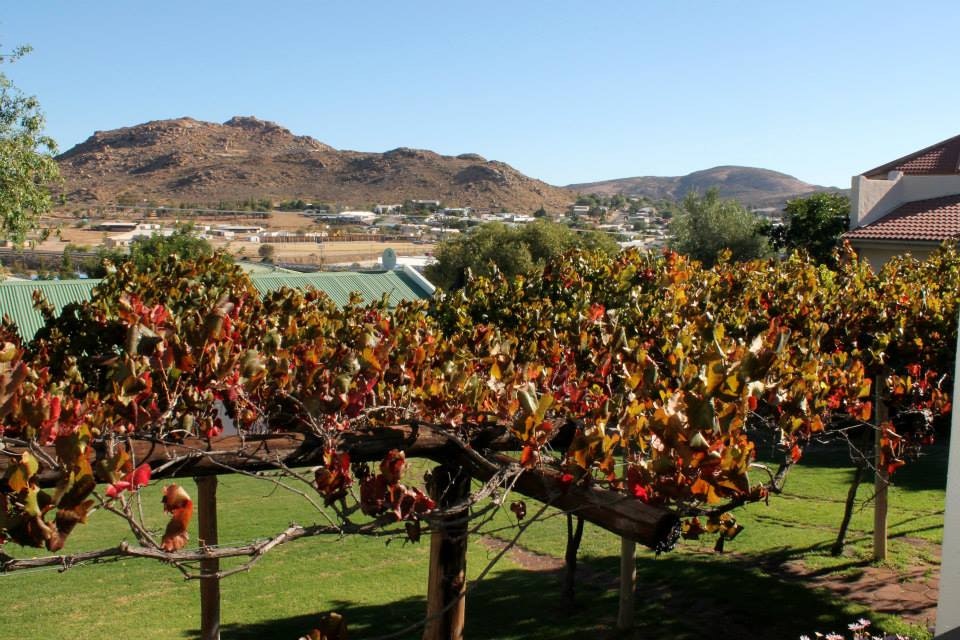 Desert Rose Guest House and Self-catering | LekkeSlaap