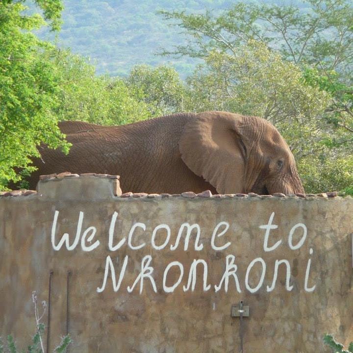 Nkonkoni Fishing Camp | Rooms