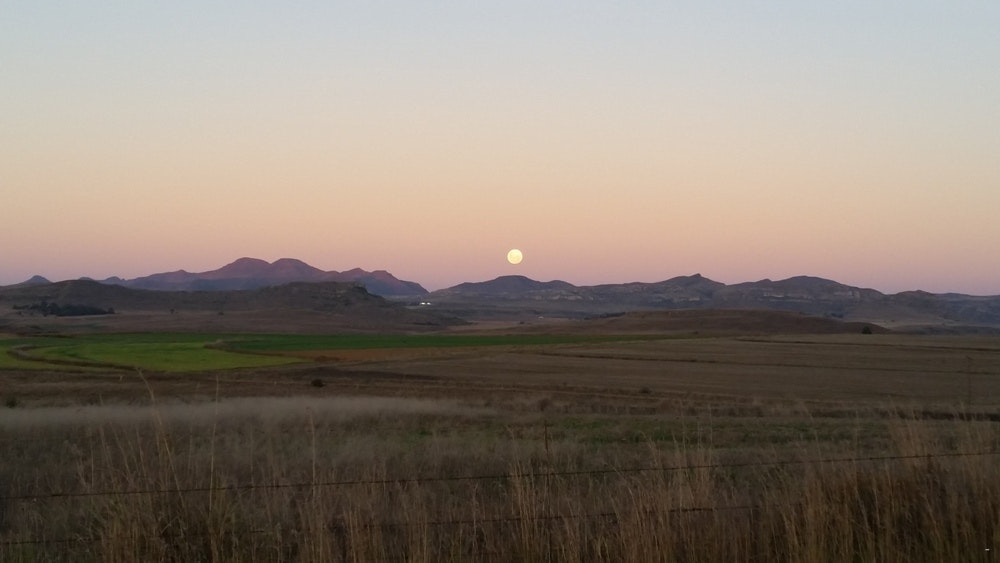 Willowdene Guest Farm | LekkeSlaap