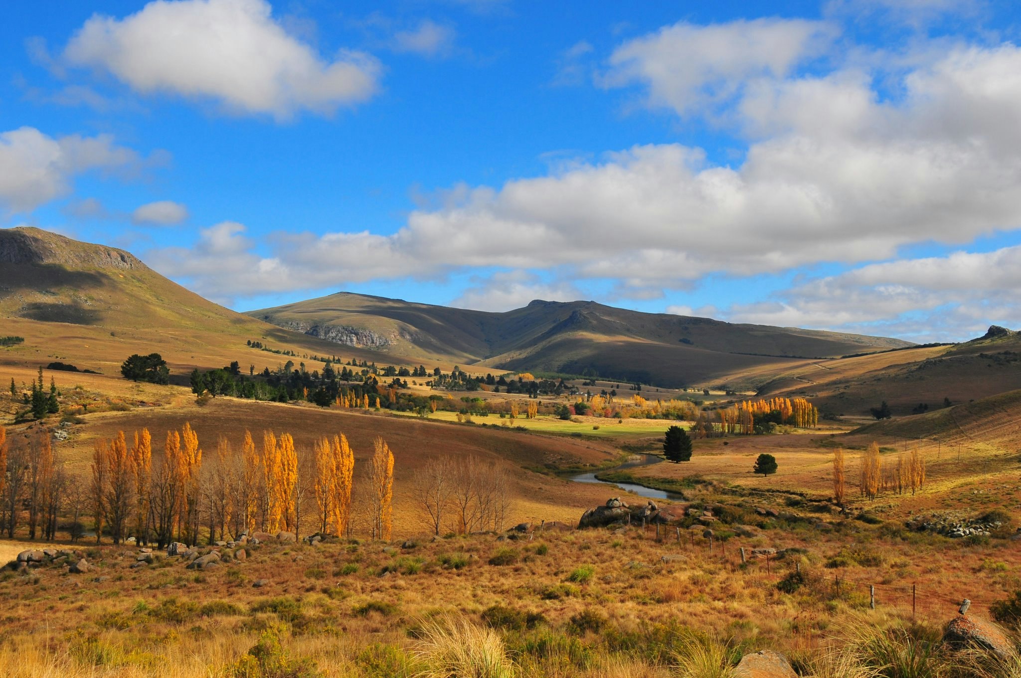 Catberg Accommodation - LekkeSlaap