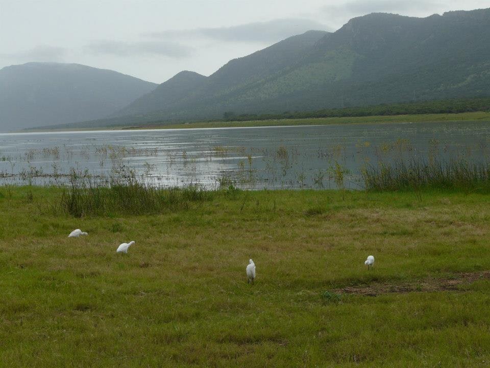 Nkonkoni Fishing Camp | LekkeSlaap