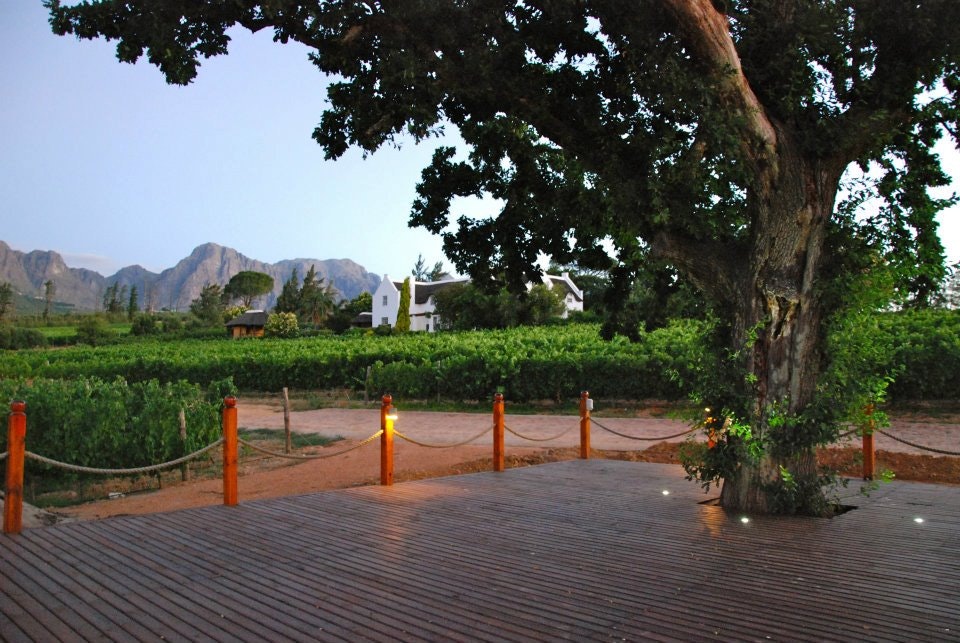 Calais Wynplaas | LekkeSlaap