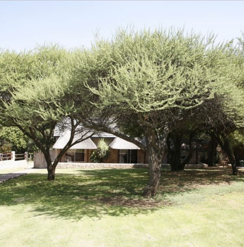 Kaya-Inkuni | LekkeSlaap