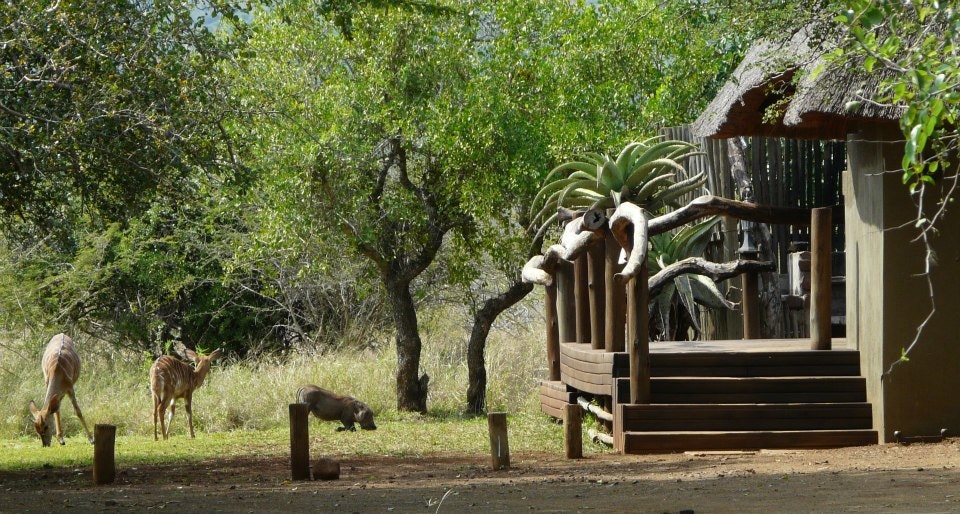 Nkonkoni Fishing Camp | Reviews