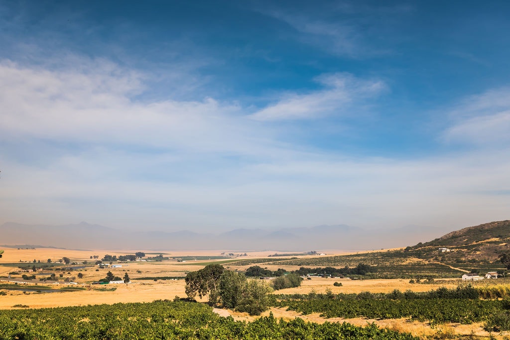 AA Badenhorst Family Wines | LekkeSlaap