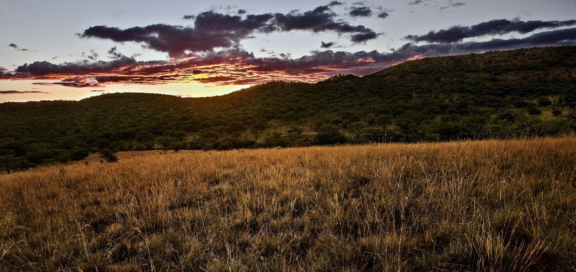 Thwane Bush Camp | LekkeSlaap