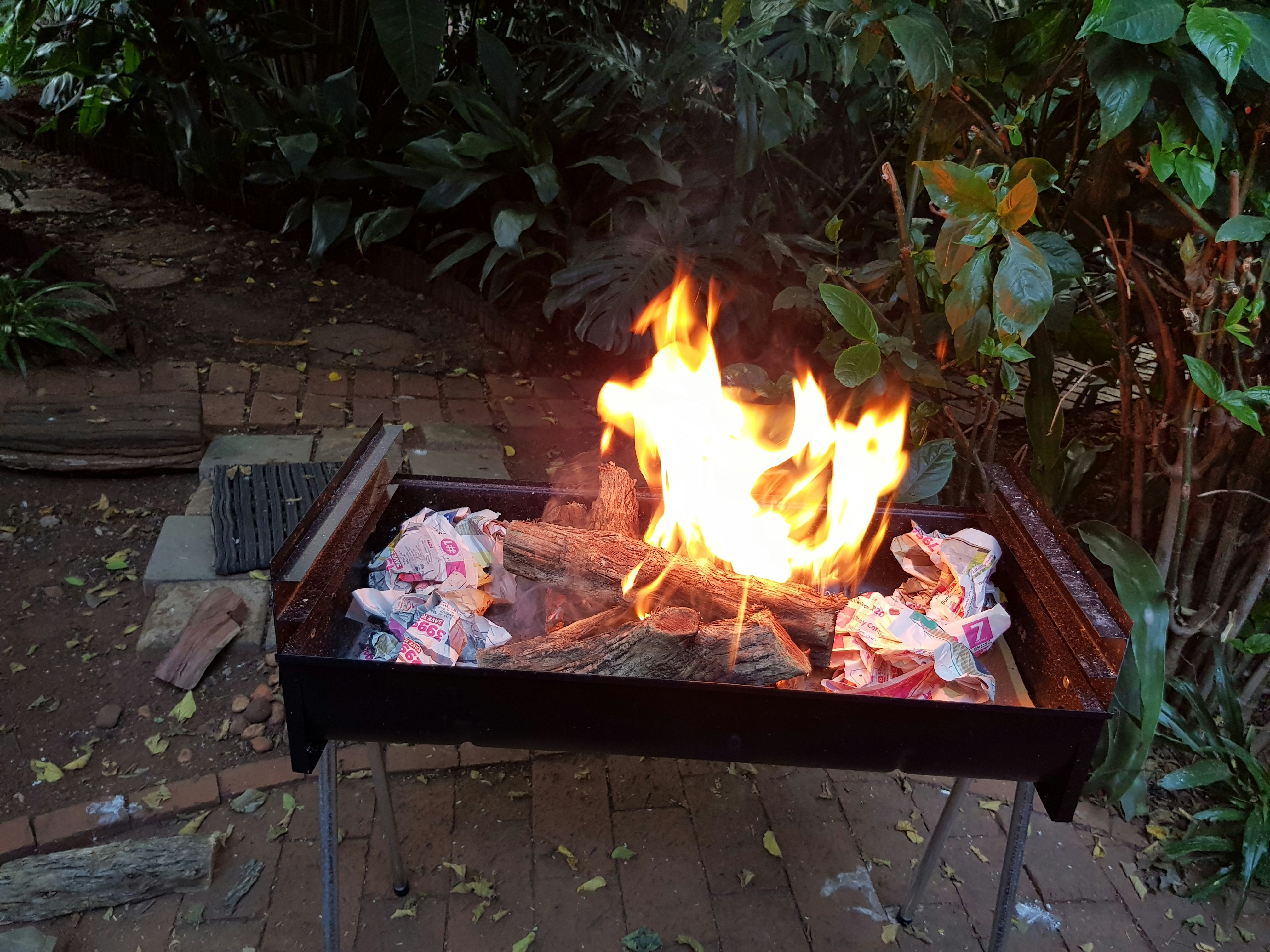 The Crooked Forest | Rooms