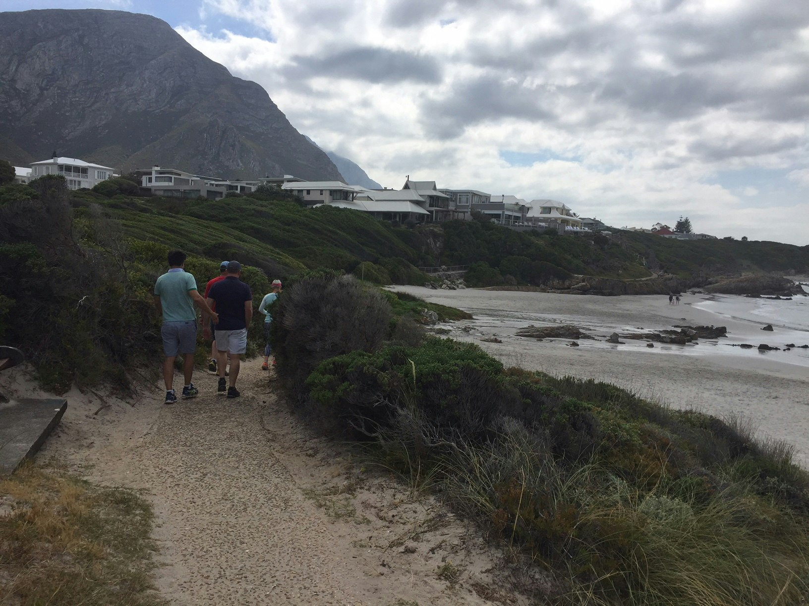 A Whale Of A Time - Hermanus