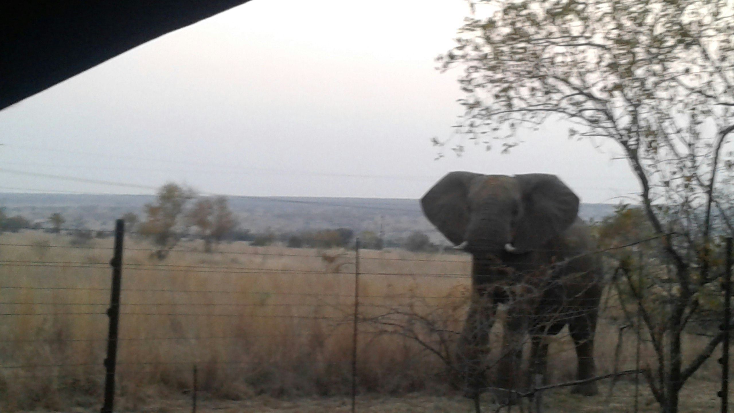 Sunset Bush Camp | LekkeSlaap